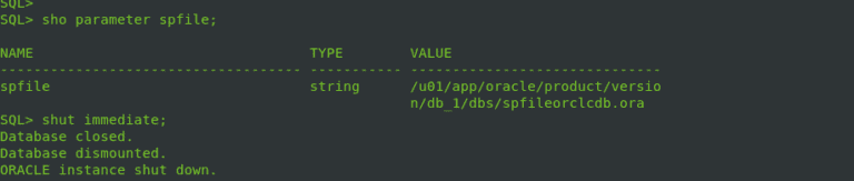 Enable-Disable Archivelog Mode In Oracle Database