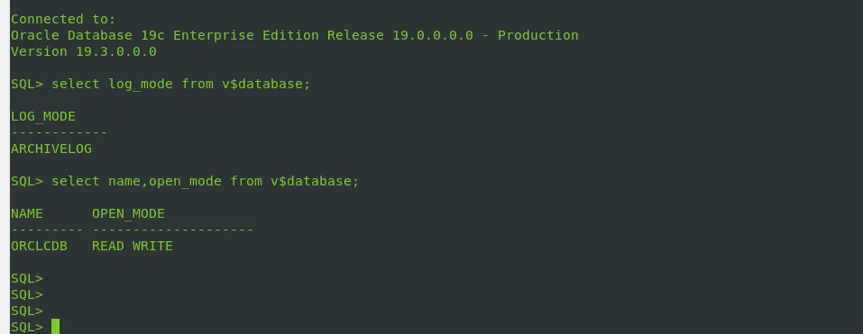 Enable Disable Archivelog Mode In Oracle Database