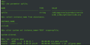 How To Change Instance Name In Oracle Database