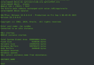 How To Change Instance Name In Oracle Database
