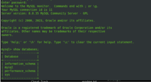 How To Login To MySQL Database After The First Installation