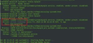 Install MySQL In Linux Redhat Step-by-Step Guide