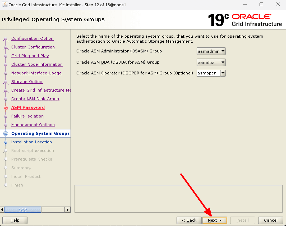 Grid Software Installation Guide 19c: Easy Step-by-step