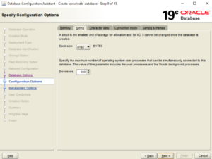 Install Oracle Database 19c In Windows: Easy Instructions