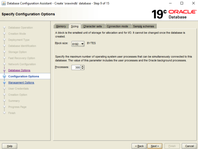 Install Oracle Database 19c In Windows: Easy Instructions