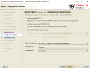 Install Oracle Database 19c In Windows: Easy Instructions