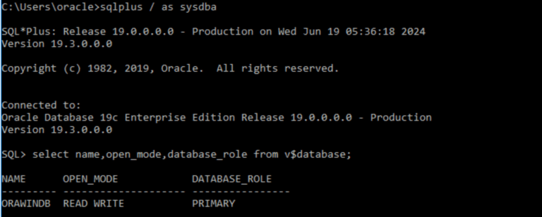 Install Oracle Database 19c In Windows: Easy Instructions