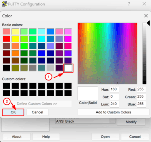Useful PuTTY Configuration Settings: 10 Easy Tips & Tricks