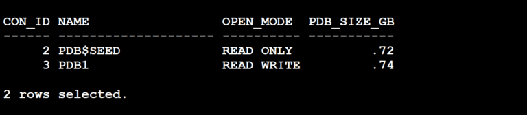 Check CDB Size & PDB Size In Oracle Database: Easy Guide