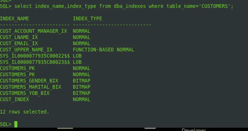 Index Rebuild In Oracle Database