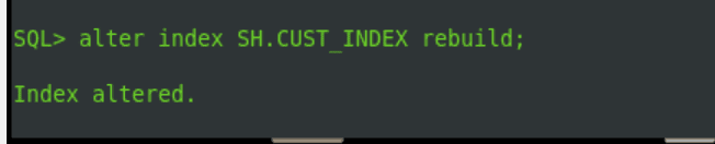 Index Rebuild In Oracle Database